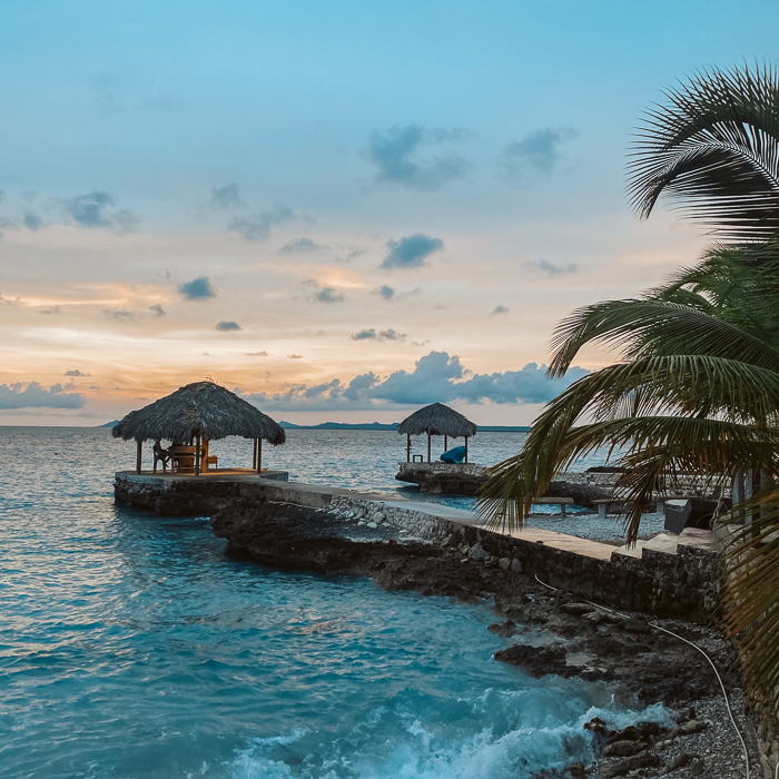 Delfins Beach Resort Bonaire & Brass Boer - review